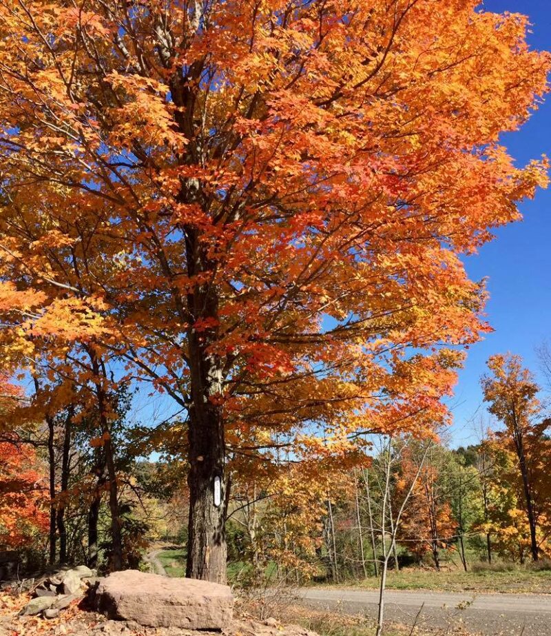 Methodology for compass points, latitude and longitude