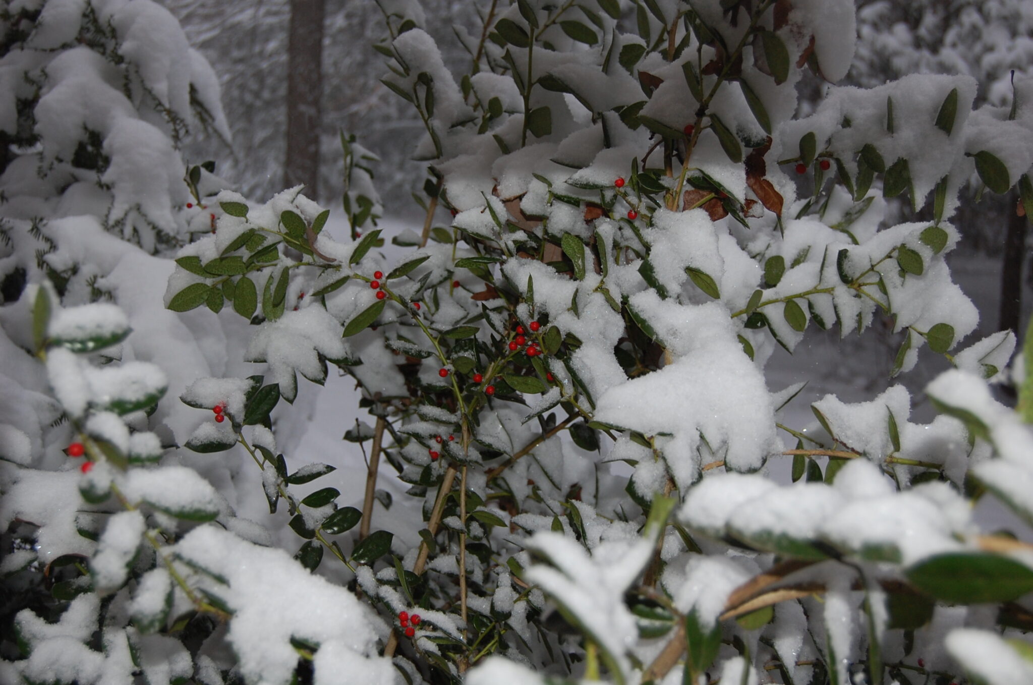 Methodology for compass points, latitude and longitude